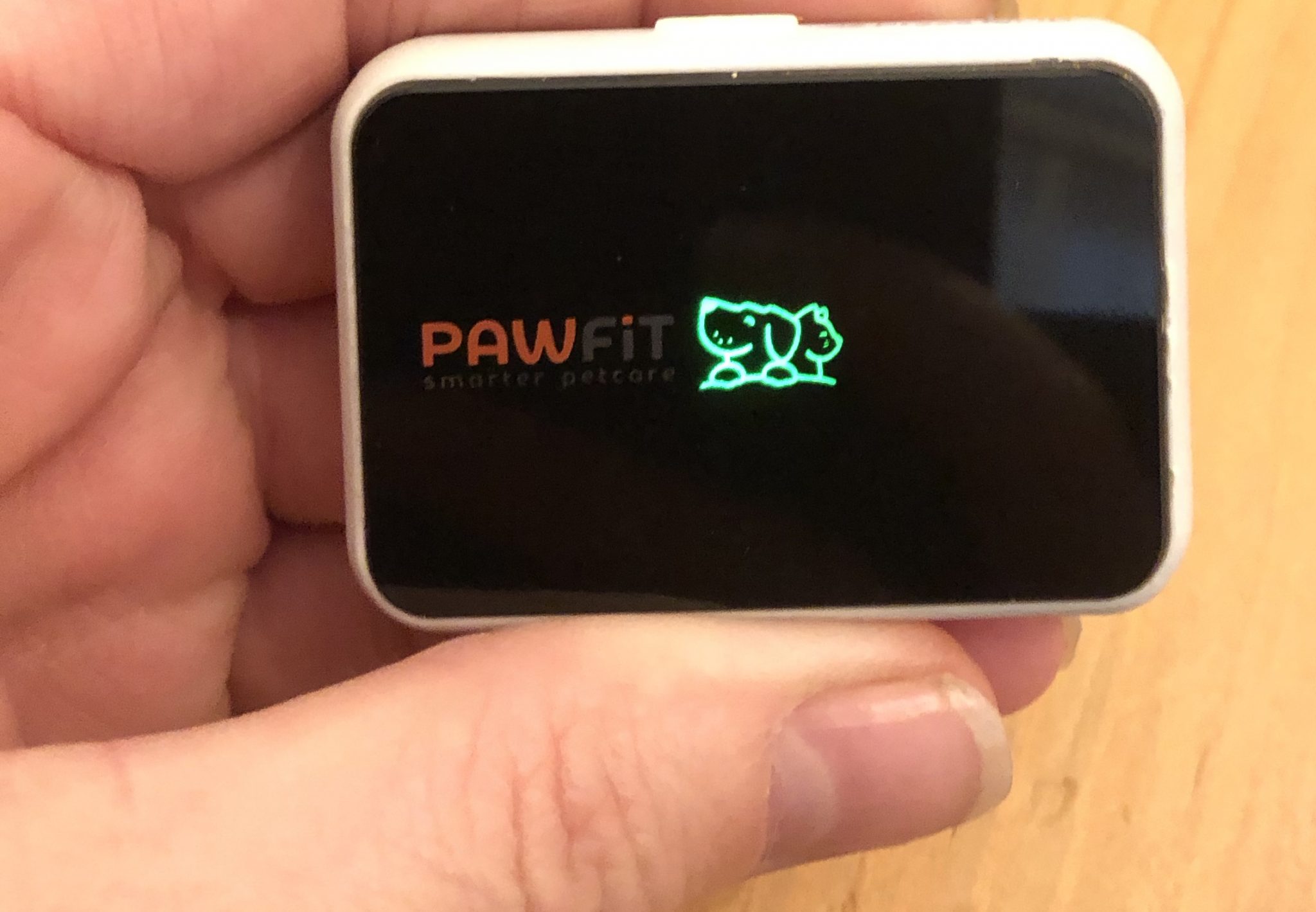 Review of the new PAWFIT 2 tracker > Fee's Pet Services